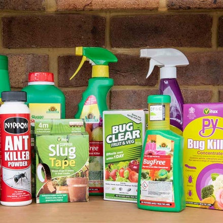 Understanding and avoiding chemical use | RHS Advice