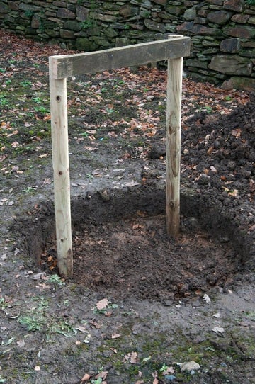 How to Stake a Tree | RHS Advice