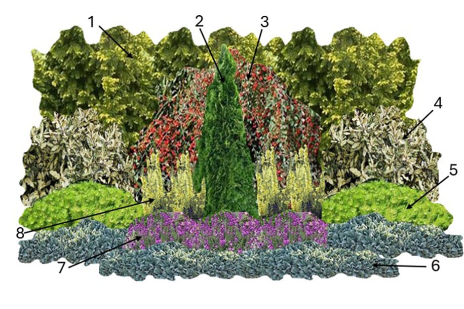 Plants for Pollution Filtering | RHS Advice