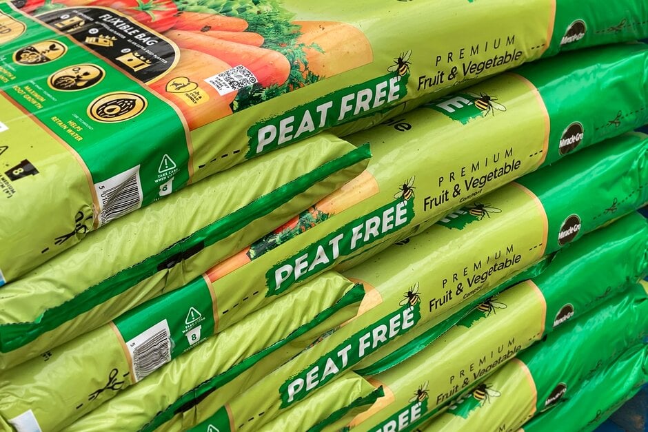 Using Peat-Free Compost for Seeds and Cuttings | RHS Advice