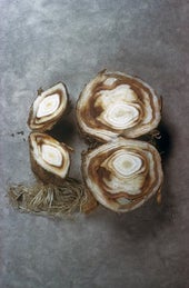 Potato Cyst Nematodes: Prevention Tips | RHS Advice