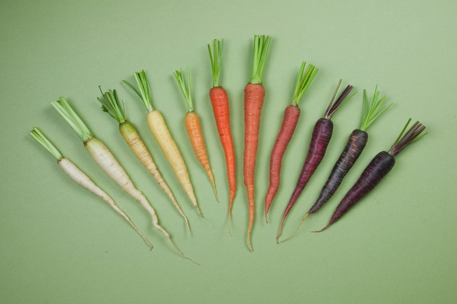How to grow Carrots | RHS Guide