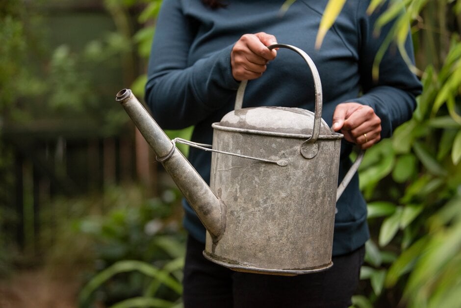 How to water containers: Expert Guide | RHS Advice