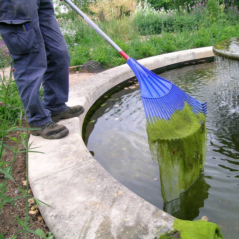Pond Care: Maintenance Tips | RHS Advice