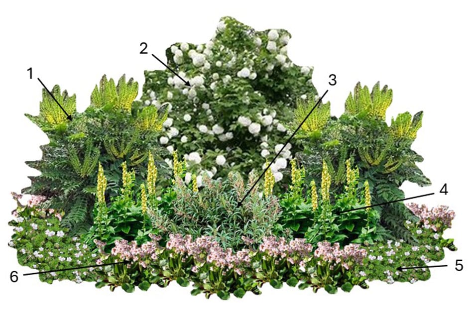 Shade: Bright Flower Ideas | RHS Advice