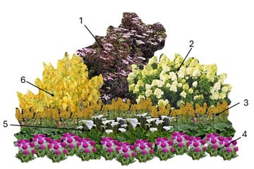 Damp soil planting ideas | RHS Advice