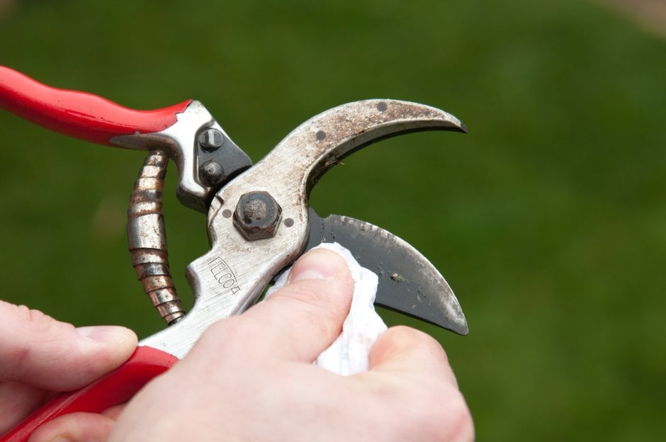 Cleaning Hand Tools: Maintenance Tips | RHS Advice