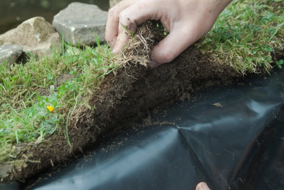 Wildlife Ponds: How to Make Them | RHS Advice