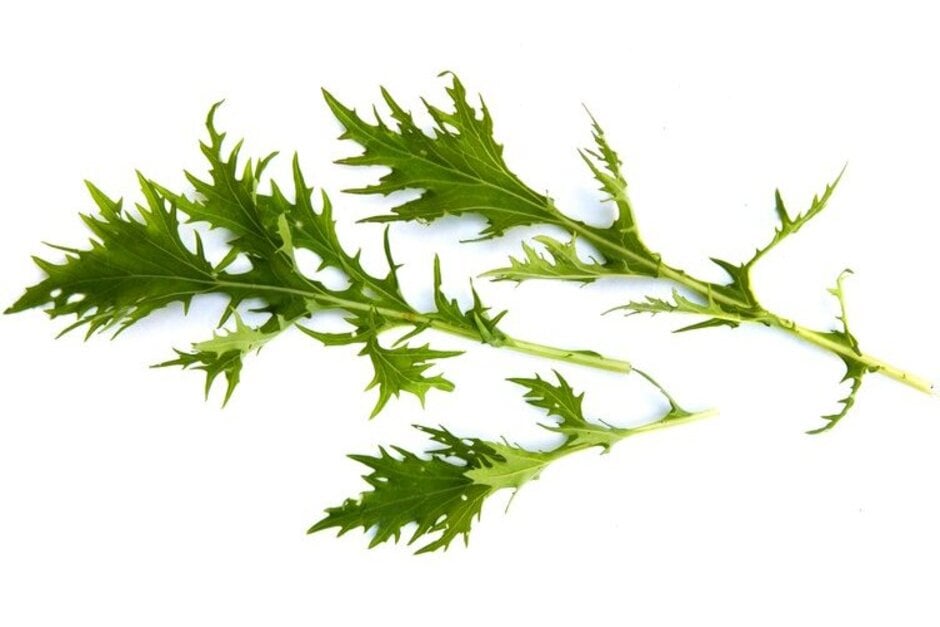How to grow mizuna and mibuna | RHS Guide