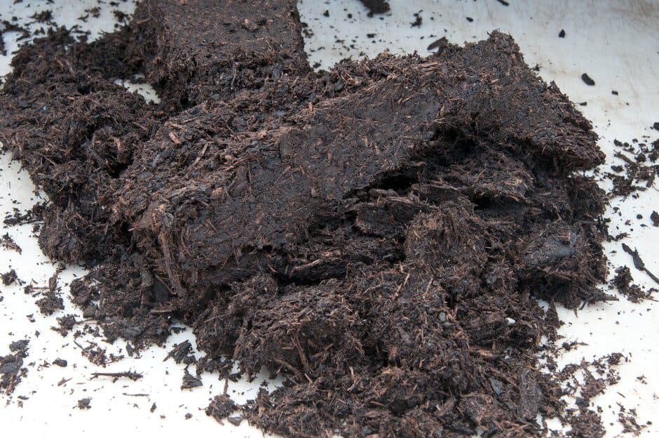 How to make your own potting mix | RHS Advice