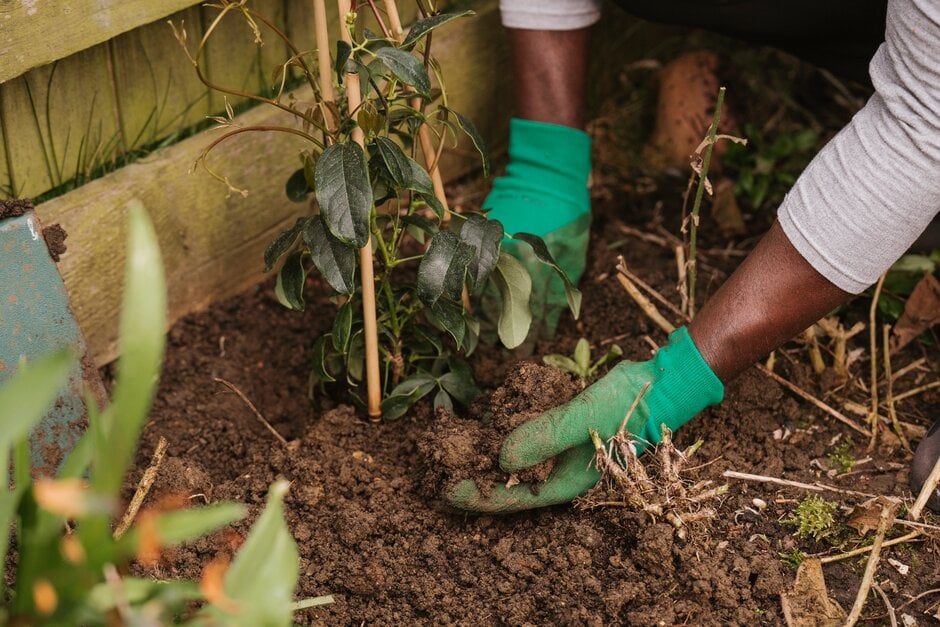 How to Tie-In Climbers | RHS Advice