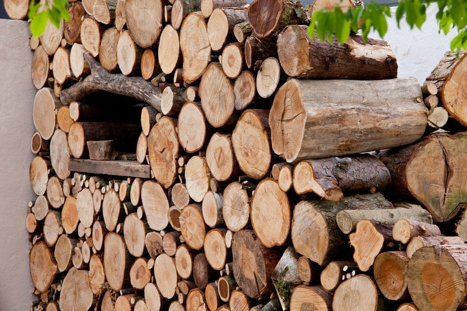 Dead Wood and Compost Heap Habitats | RHS Advice