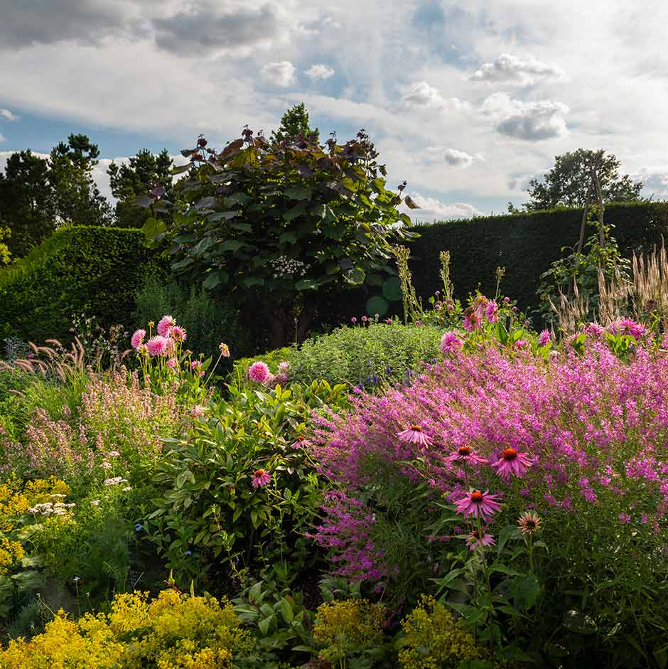 How to Maintain Lawn Edges | RHS Advice