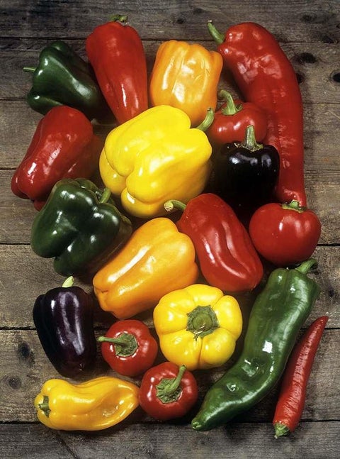 How to grow sweet peppers | RHS Guide