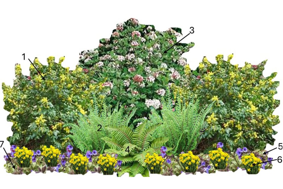 Shade with Spring Flowers and Ferns | RHS Advice