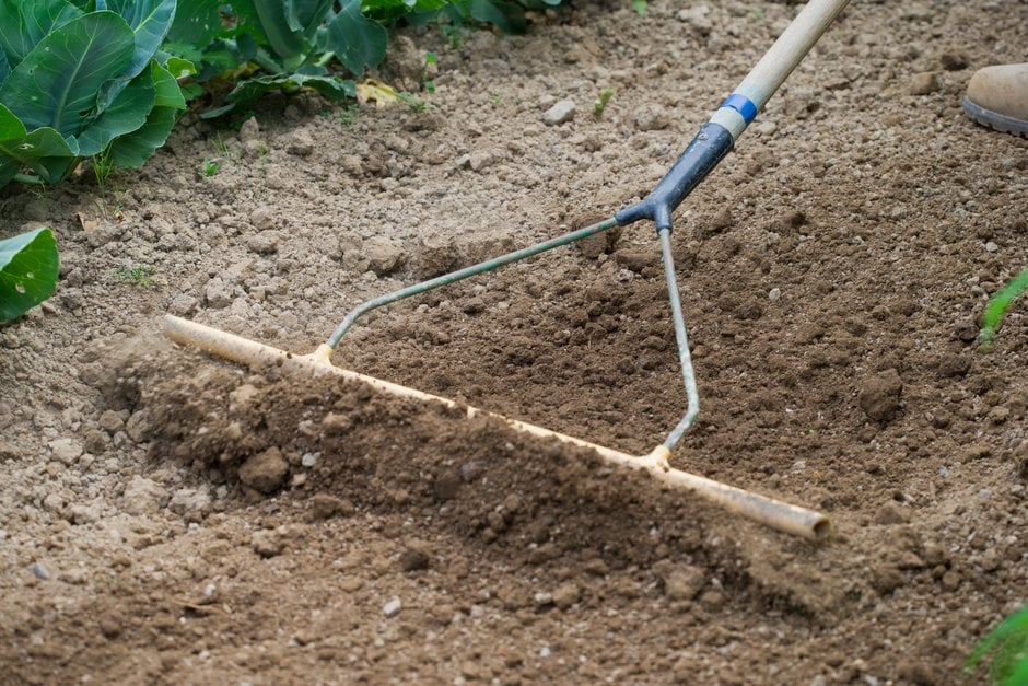 How to Sow Seeds Outdoors | RHS Advice