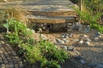 Pond Algae and Blanket Weed | RHS Advice