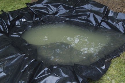 How to Make a New Pond | RHS Advice