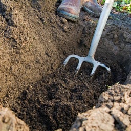 Double digging | RHS Advice