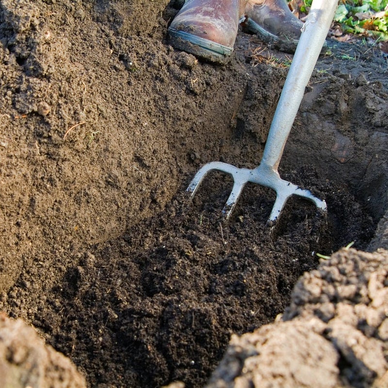 Double digging | RHS Advice