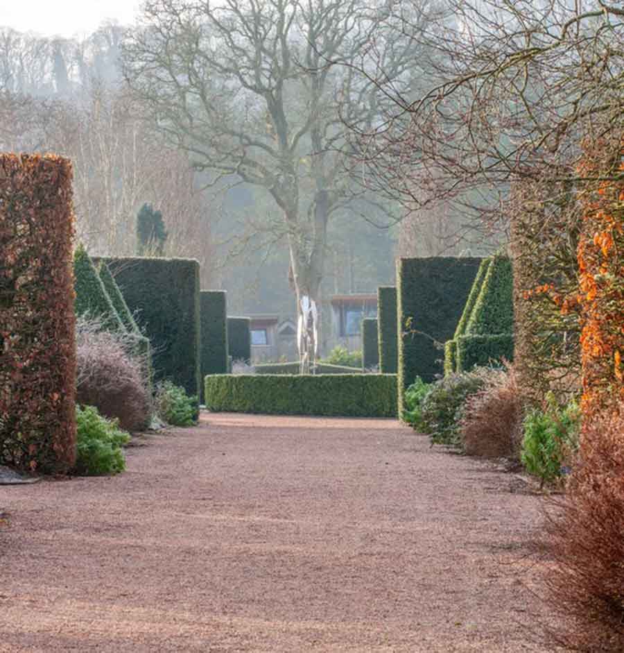 Hedges: Selection Tips | RHS Advice