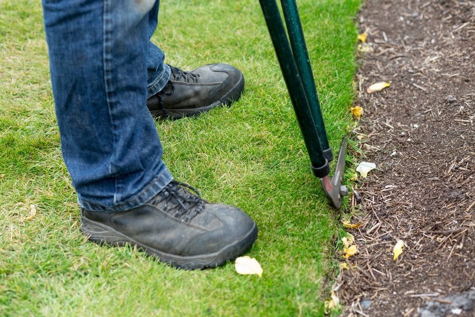 How to Maintain Lawn Edges | RHS Advice