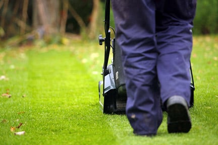 Lawn Mowing Guide | RHS Advice