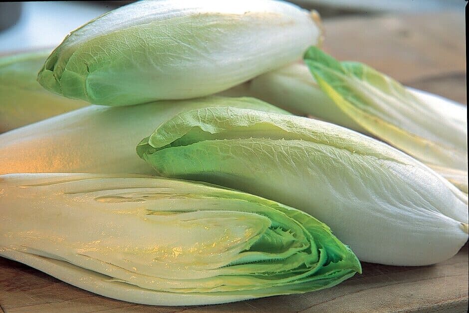 How to grow chicory | RHS Guide