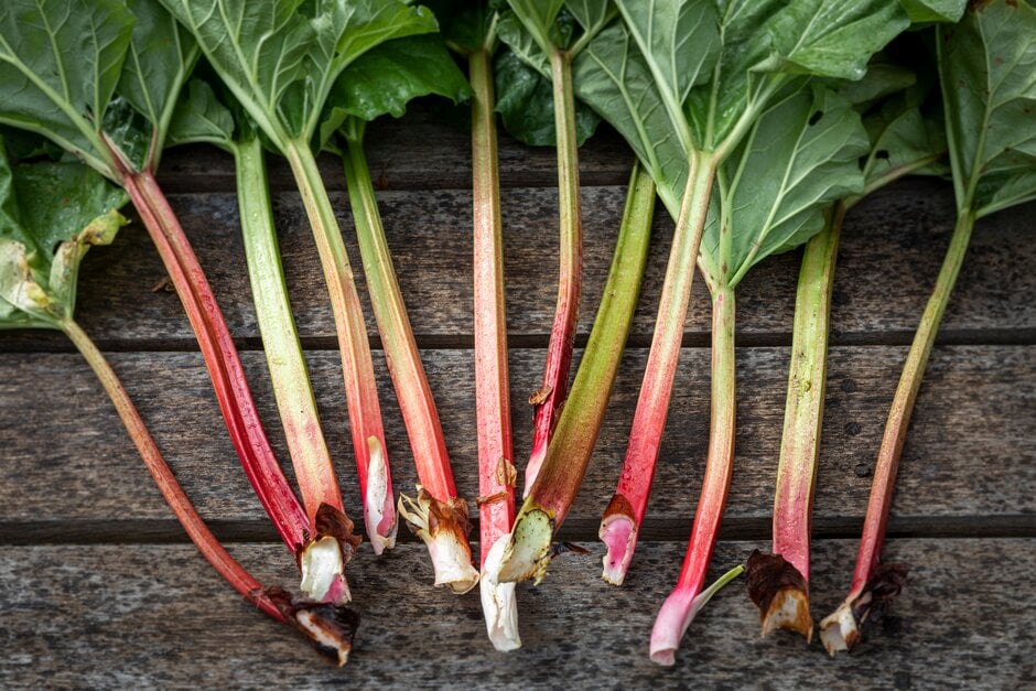 How to grow rhubarb | RHS Guide