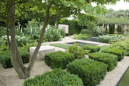 Box Alternatives for Healthy Hedges | RHS Advice