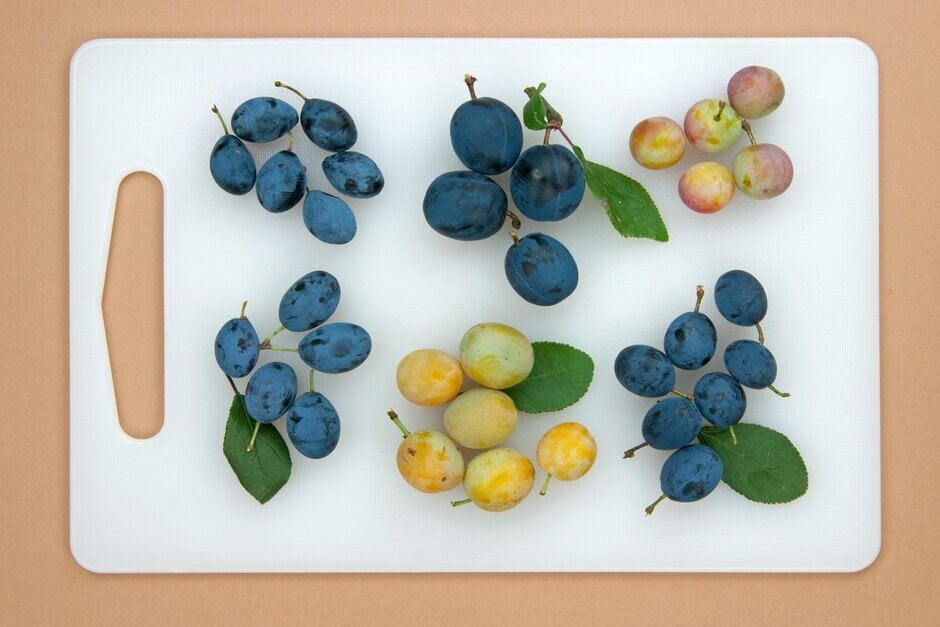 How to grow damsons | RHS Guide