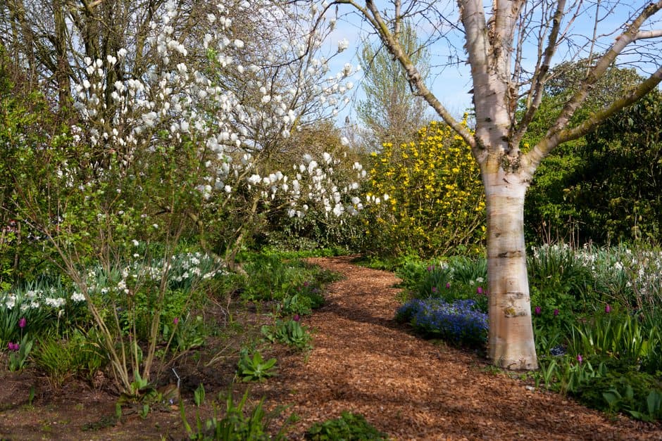 How Plants Absorb Nutrients | RHS Advice