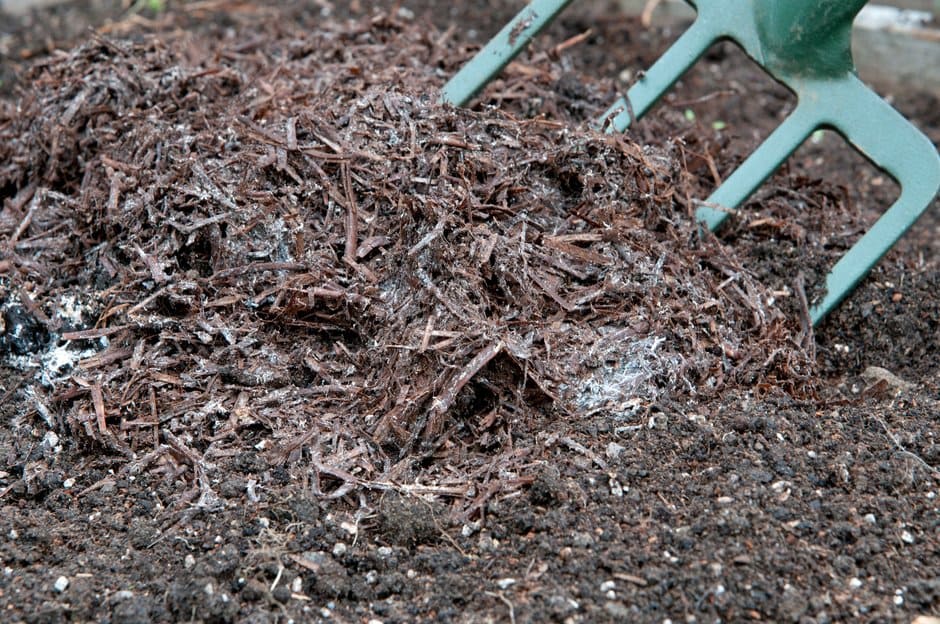 How Plants Absorb Nutrients | RHS Advice