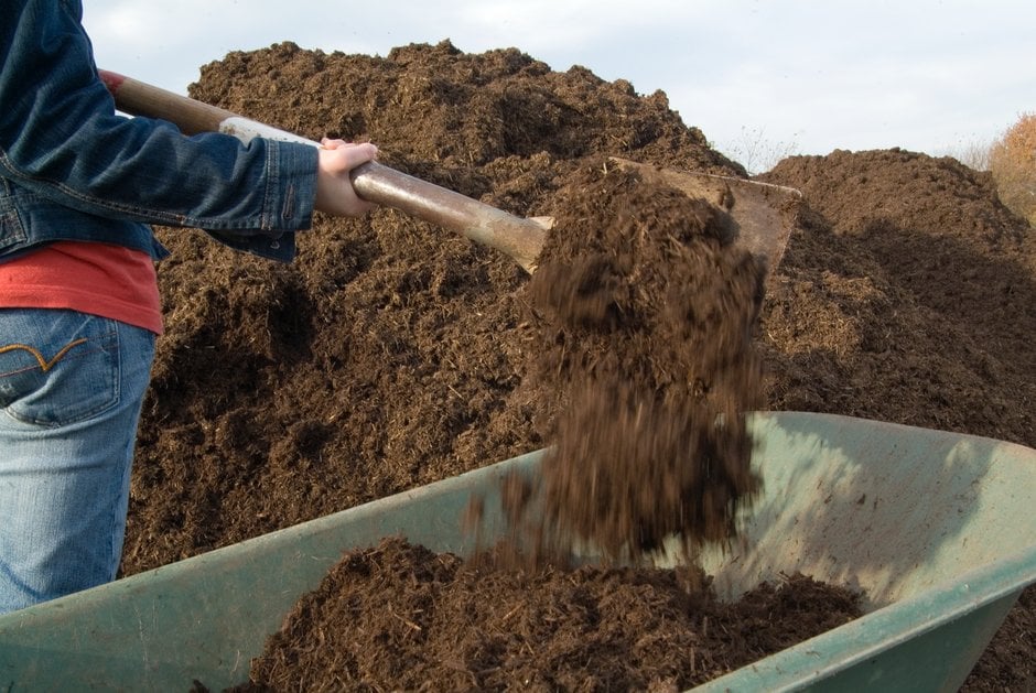 How to mulch with organic matter | RHS Advice