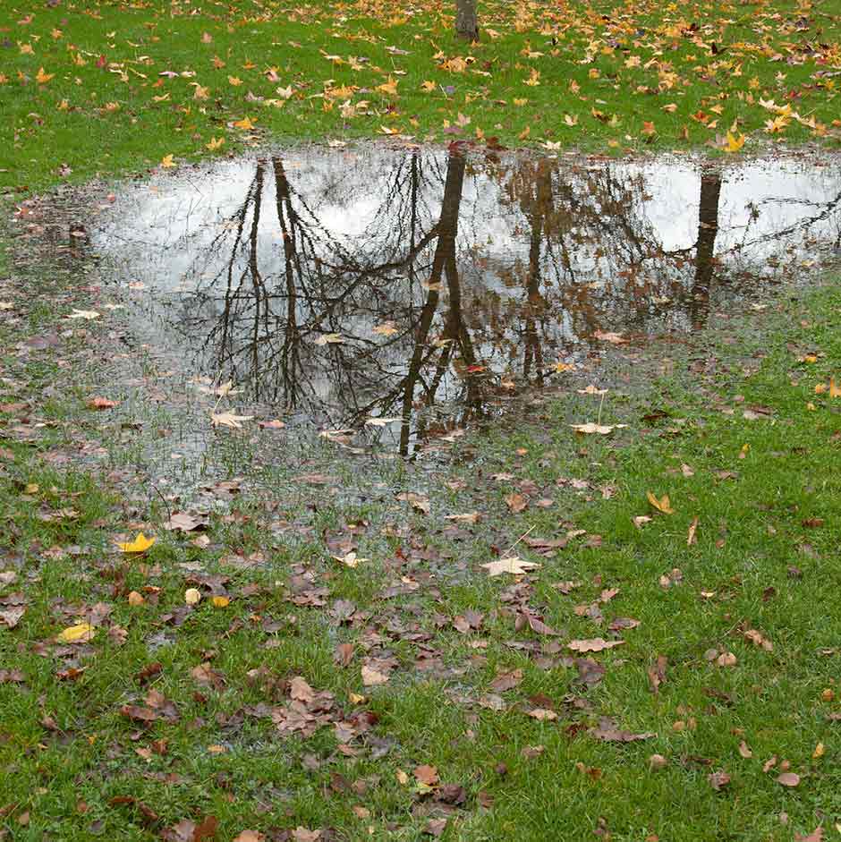 Waterlogged Lawns: Solutions | RHS Advice
