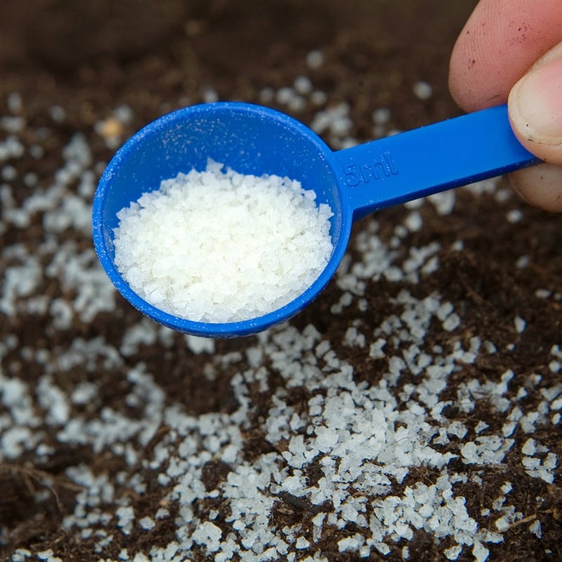 Water-Retaining Granules | RHS Advice