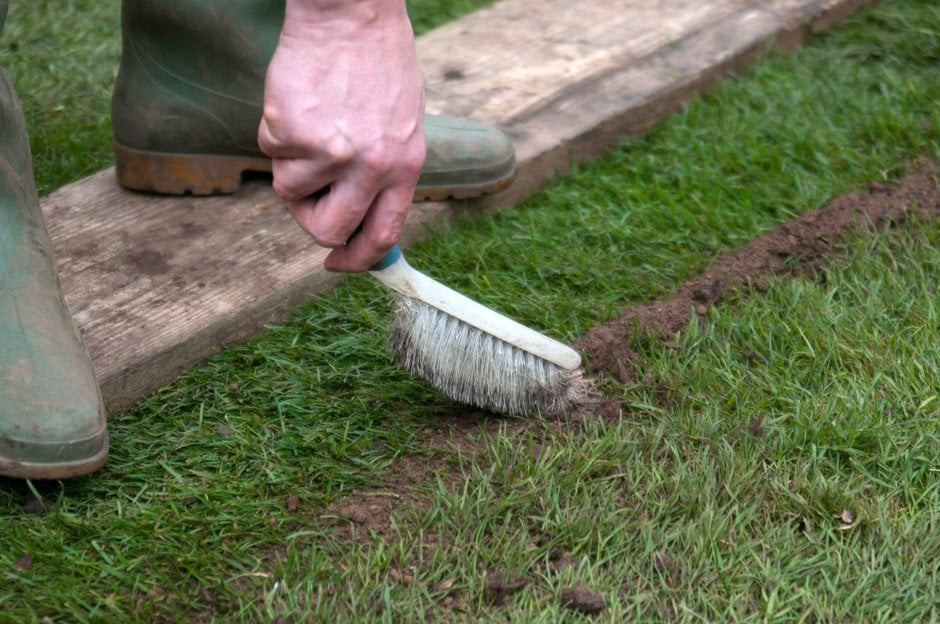 Repairing Lawns: Reseeding and Returfing | RHS Advice