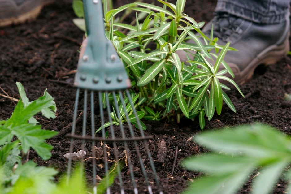 How to mulch with organic matter | RHS Advice