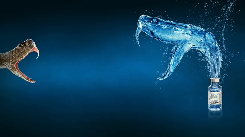 CroFab | Discover Digital | Award-winning Digital Agency | Digital ...