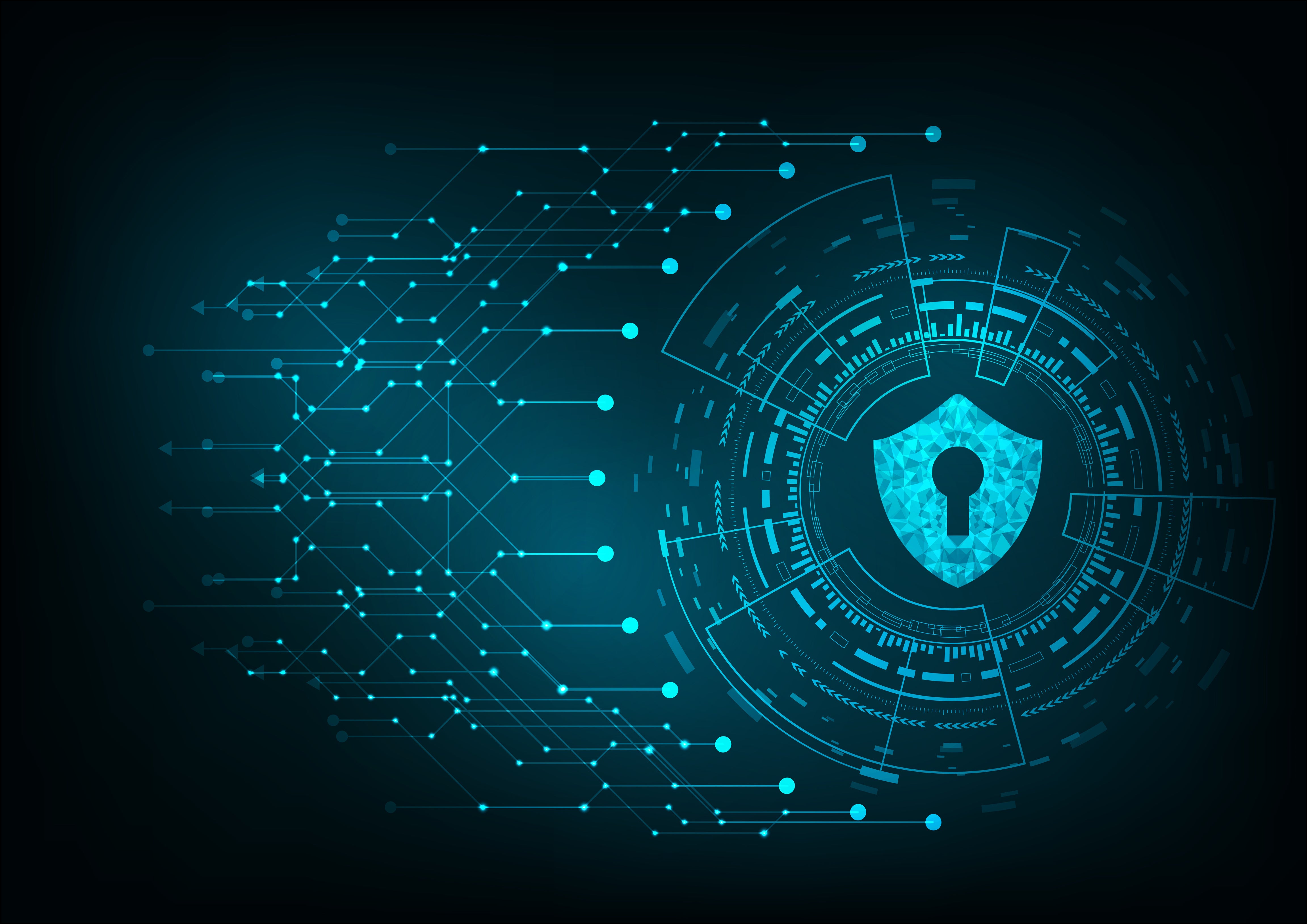Website Security: Protecting Your Digital Presence in a Wicked Cyber ...