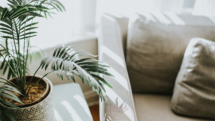 Looking after your new home | SNG