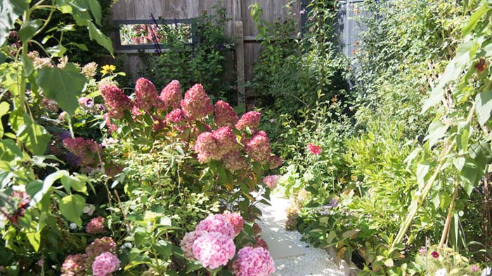SNG In Bloom gardening competition 2025 | SNG