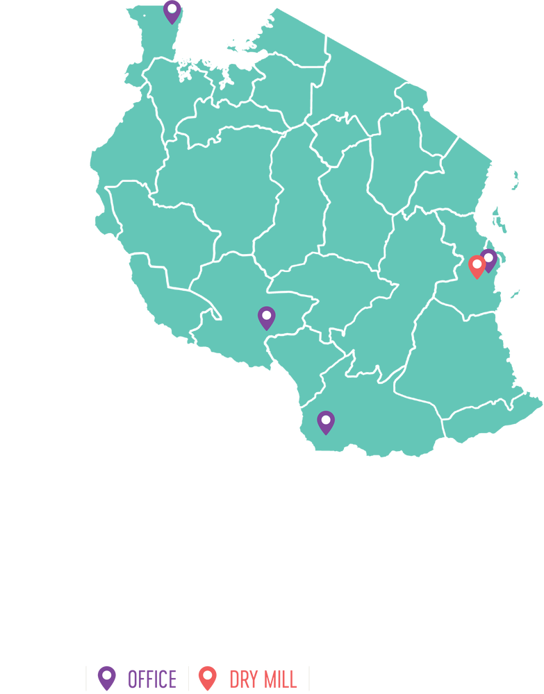 Sucafina: Sucafina in Tanzania