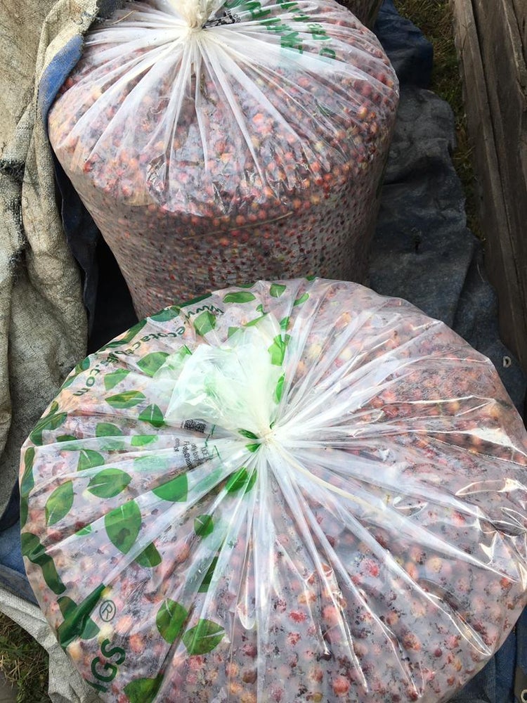 Sucafina: Lunji Anaerobic Natural 7 Days
