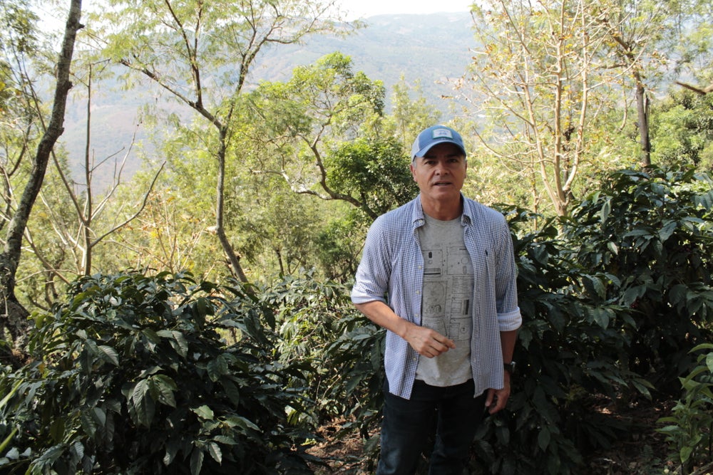 Sucafina: El Morito José Monterroso Bourbon Natural