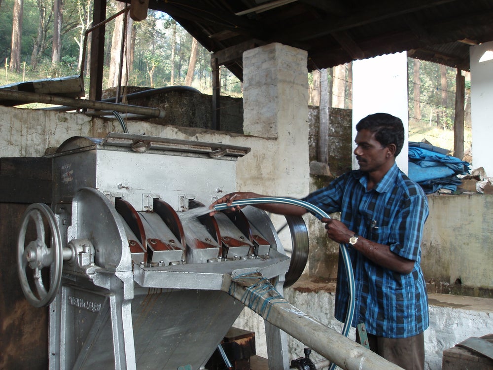 Sucafina: Coorg Kaapi Royal Biota