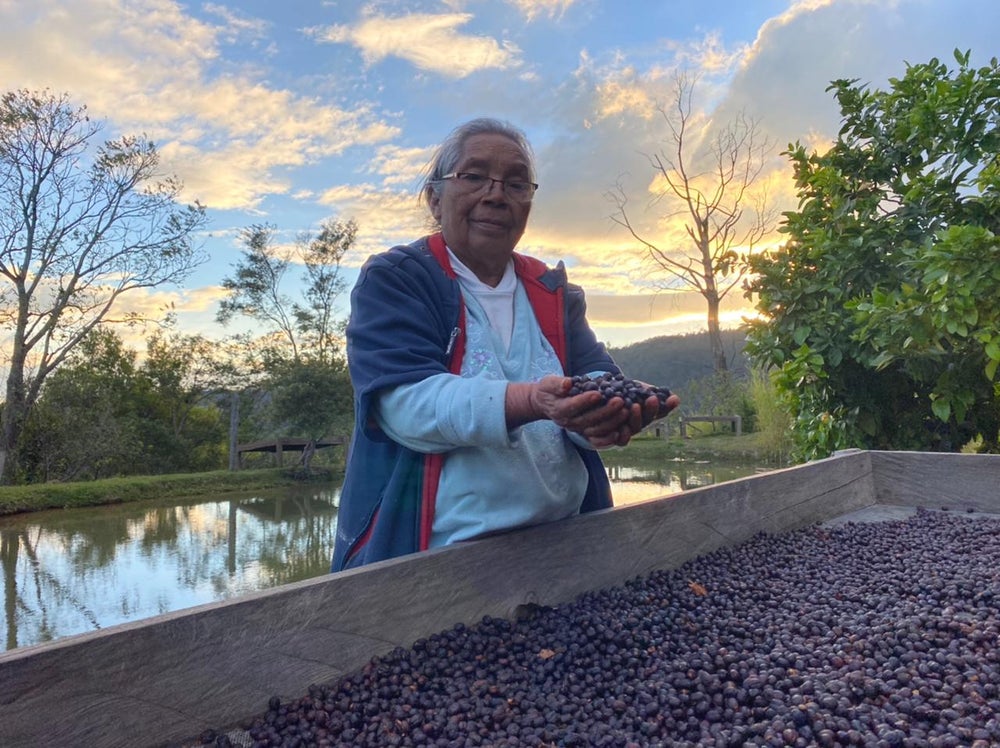 Sucafina: Pacayal La Florencia Natural FTO
