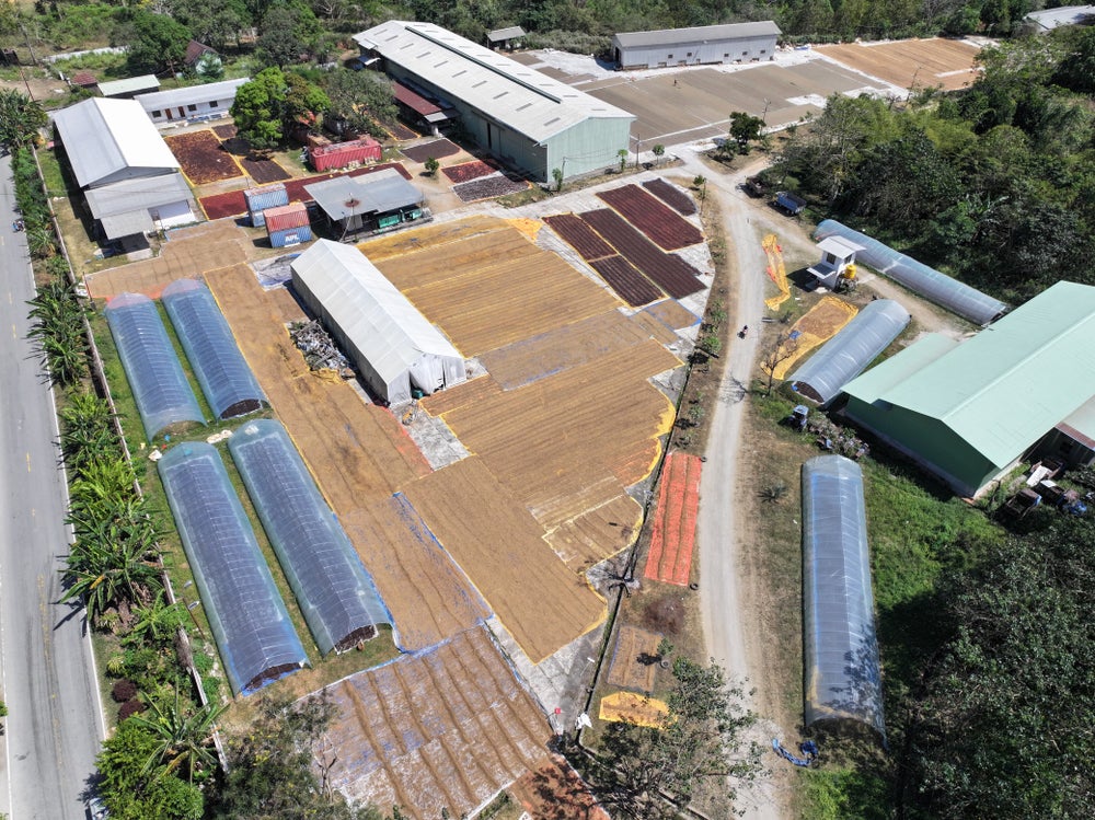 Sucafina: Railaco Natural