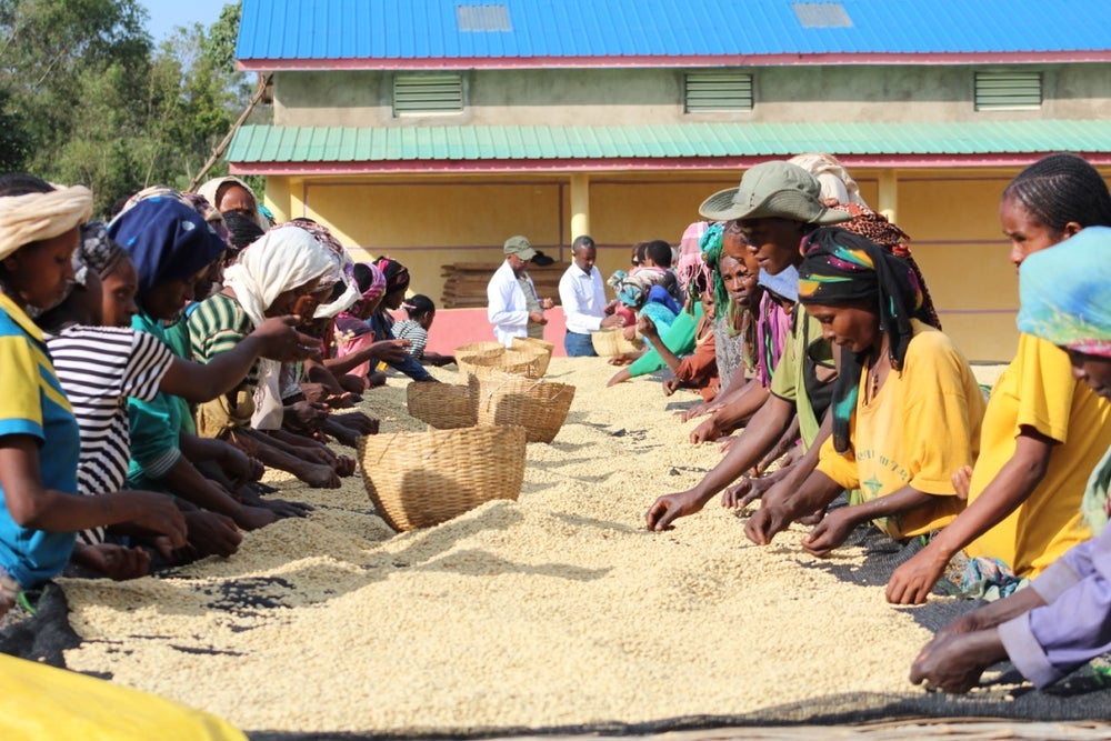 Sucafina: Adado Yirgacheffe Fully Washed