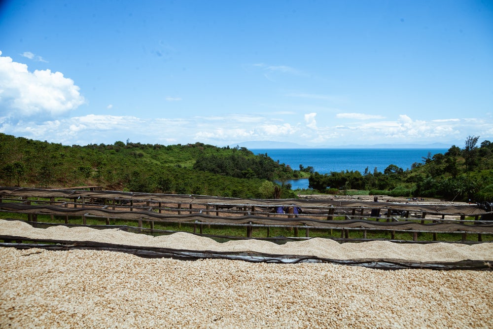 Sucafina: Musasa Natural Organic Farmgate Initiative